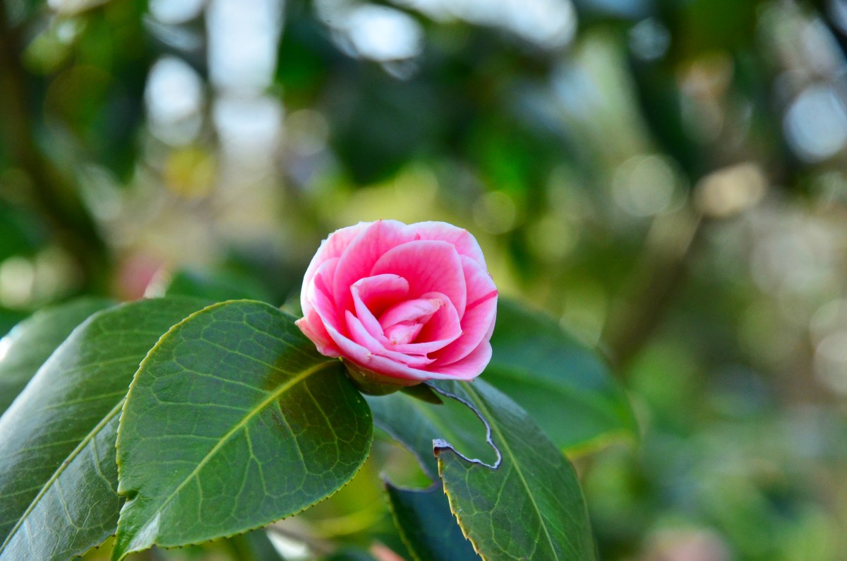 MB Photography | View Gallery